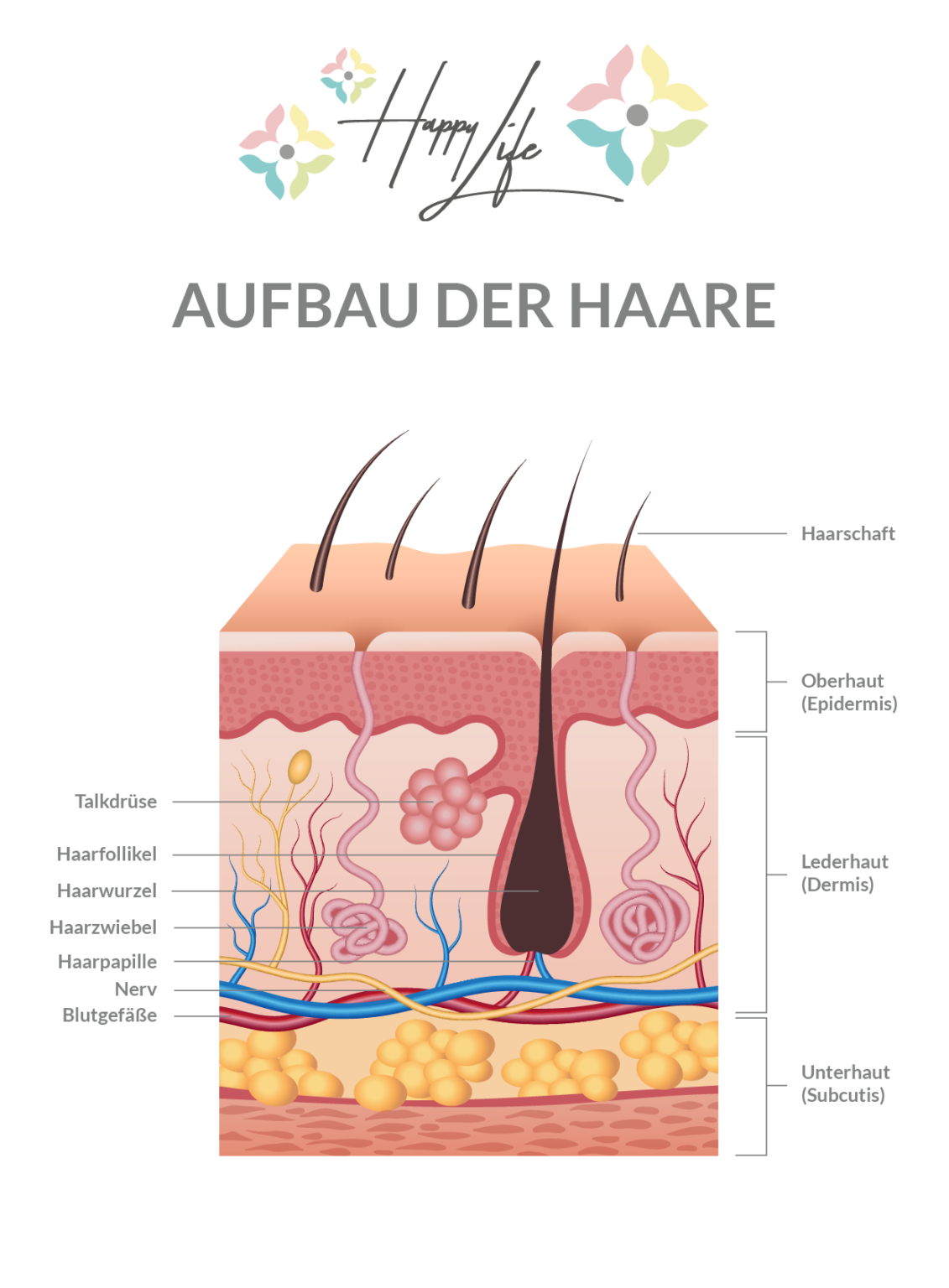 Haut und Haar – Happy Life