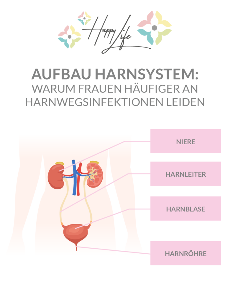Infektionen der Harnwege – Happy Life