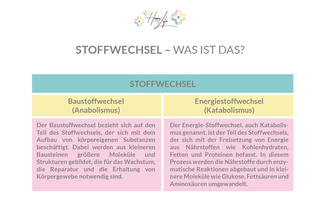 Stoffwechseloptimierung – Happy Life